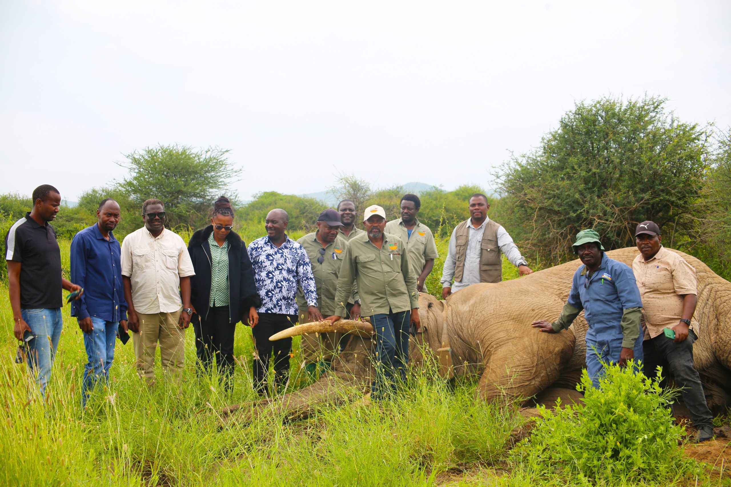 TAWIRI – Tanzania Wildlife Research Institute
