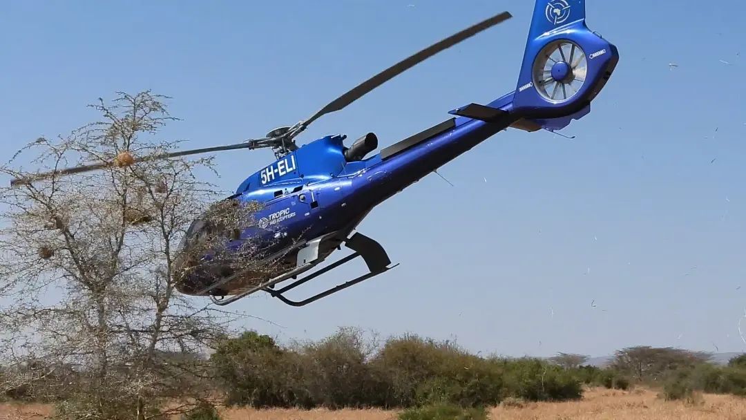 TAWIRI – Tanzania Wildlife Research Institute